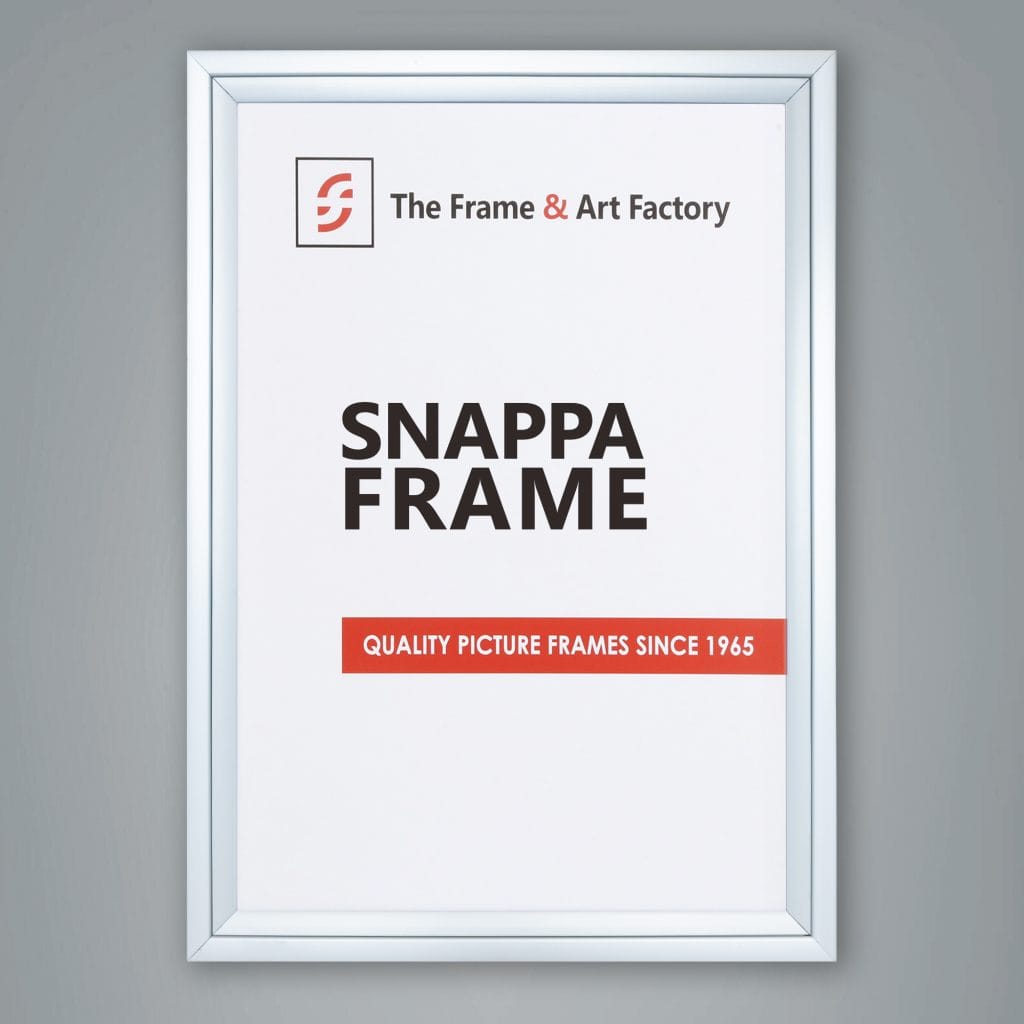 Snapper Frames | Clip Frames | Cape Town | South Africa