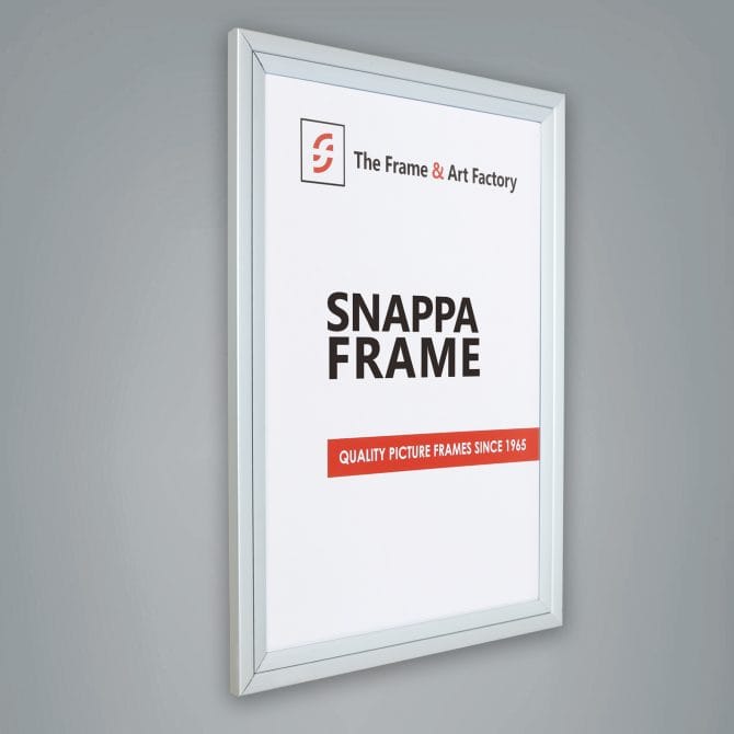 Snapper Frames | Clip Frames | Cape Town | South Africa