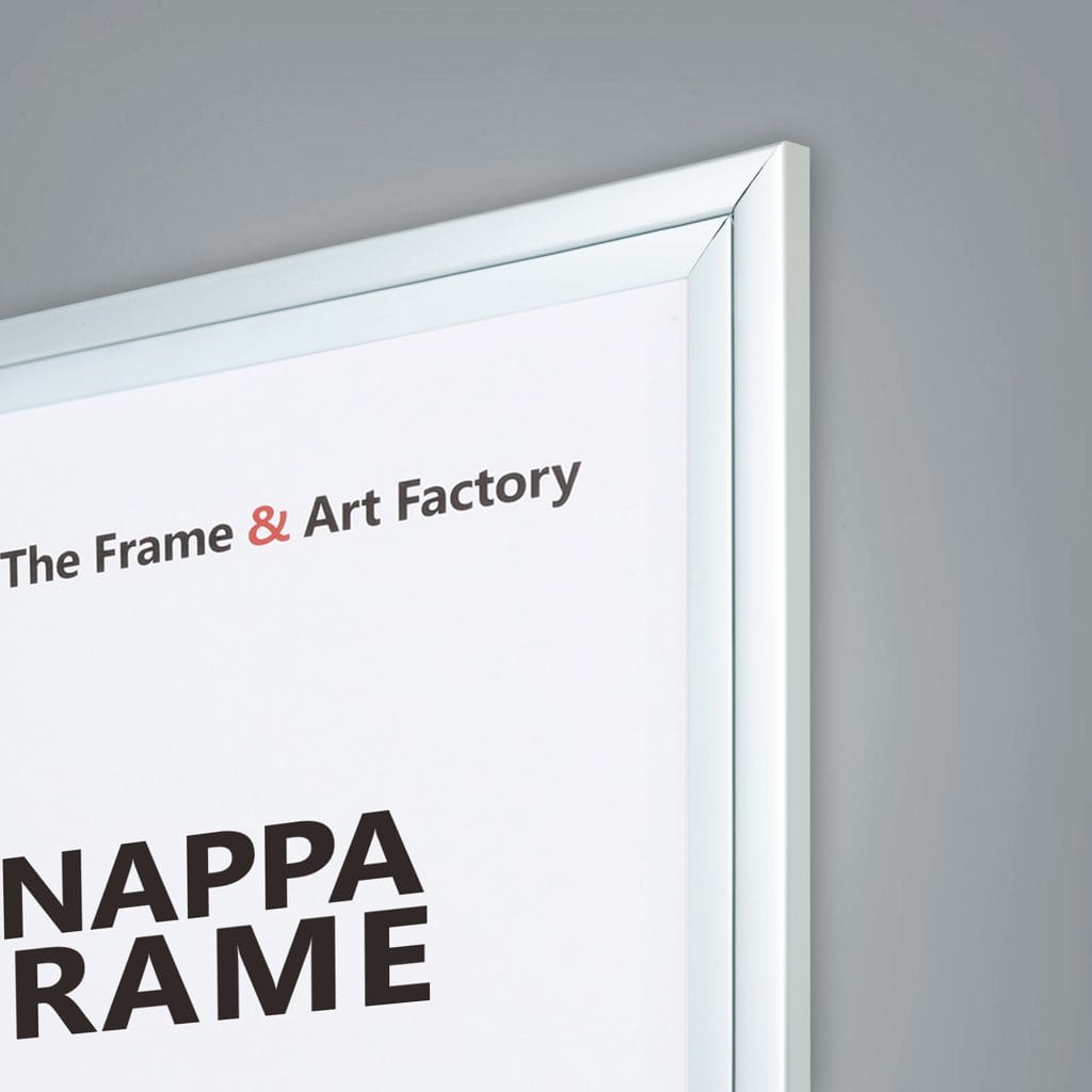 Snapper Frames | Clip Frames | Cape Town | South Africa