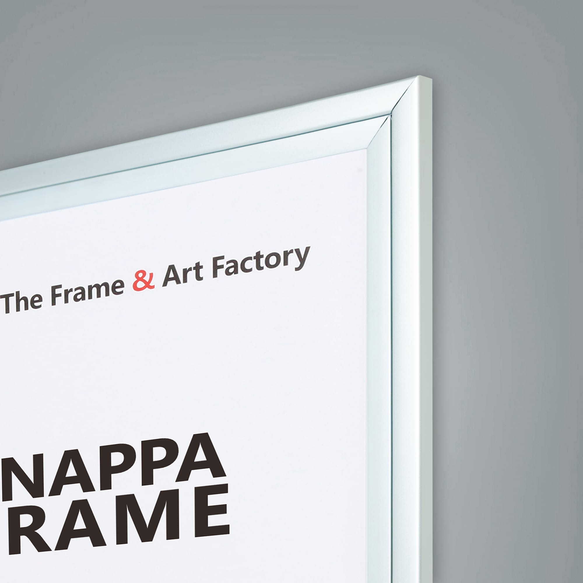 Snapper Frames | Clip Frames | Cape Town | South Africa