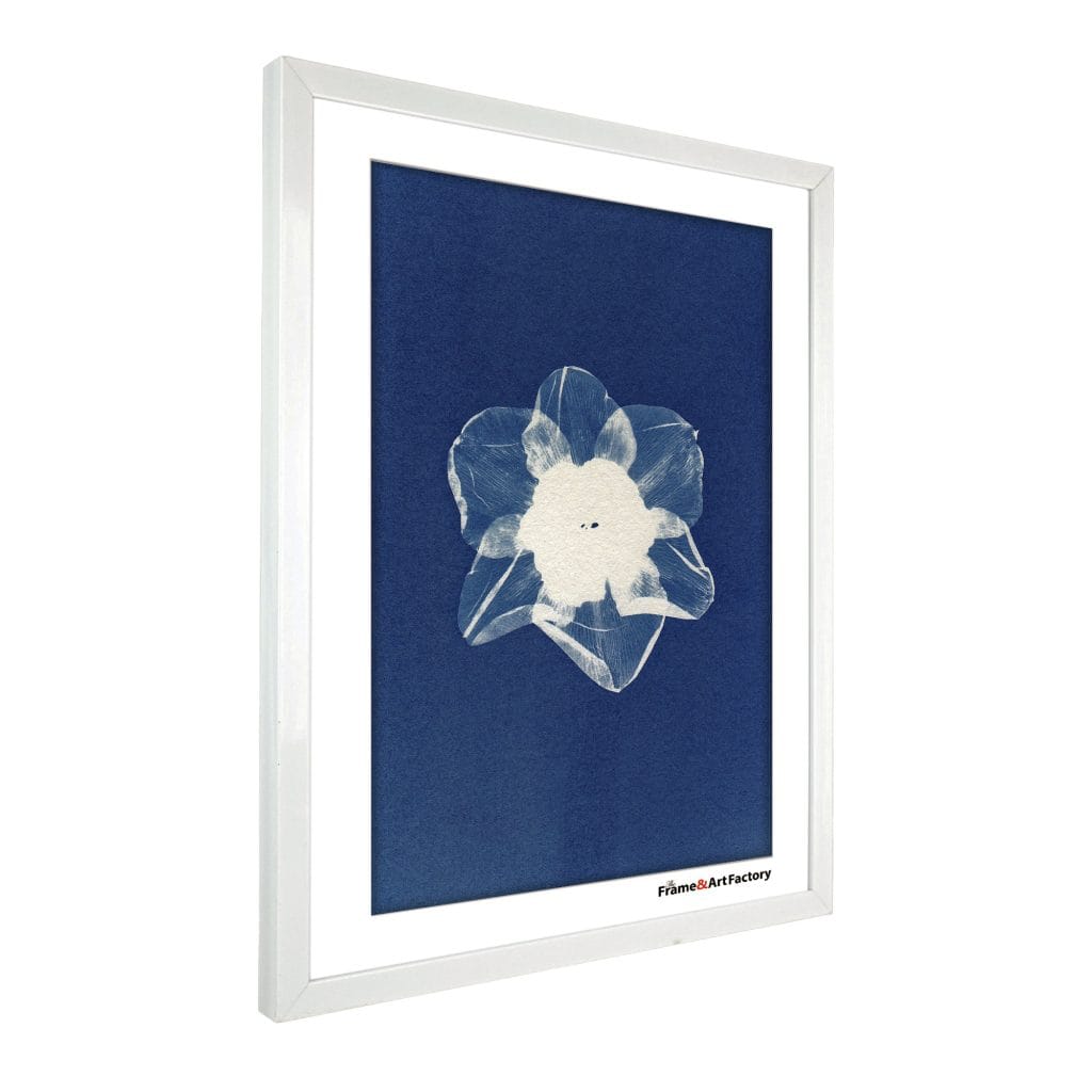 Gallery Poster Frame White | Print and Frame Your Photos Online