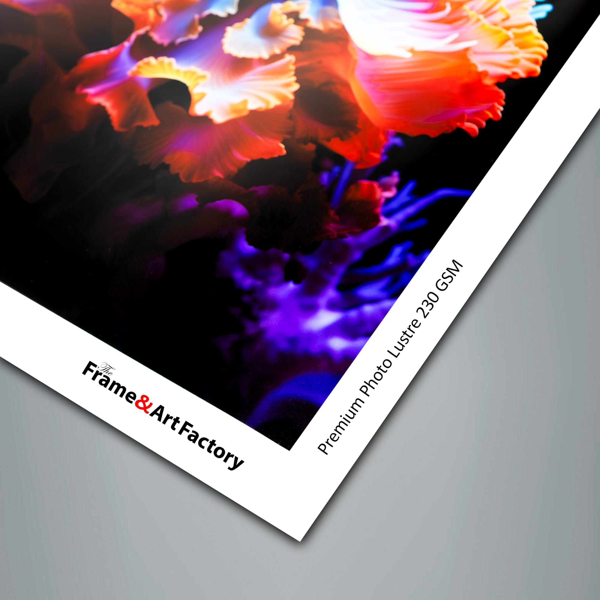 Fine Art Printing | Museum Quality Giclée Fine Art Prints 🏆️